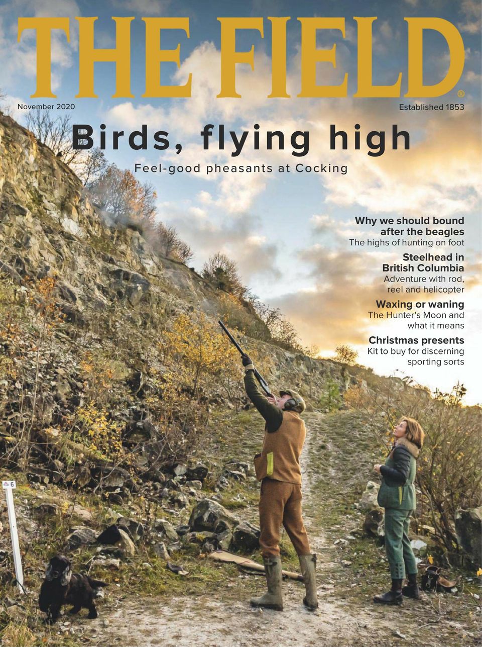 Get digital access to The Field - November 2020 issue | Magzter.com