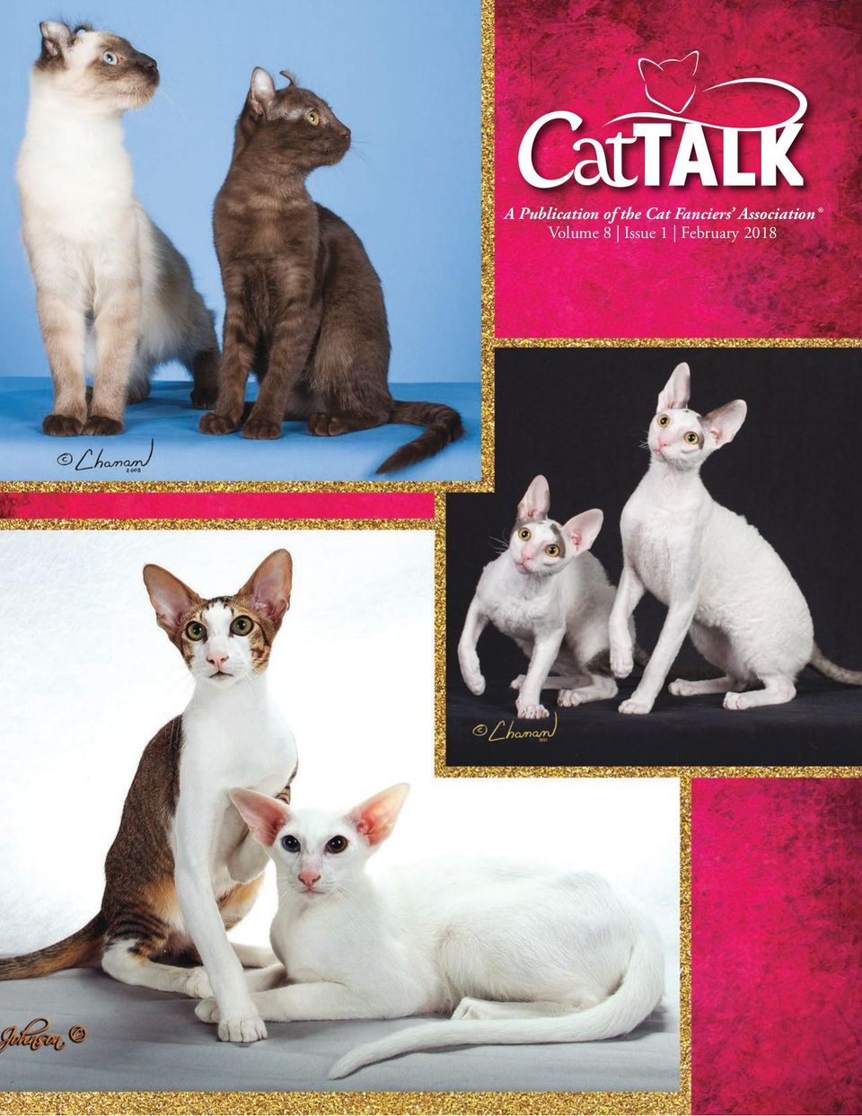 Cat Talk-February 2018 Magazine - Get your Digital Subscription