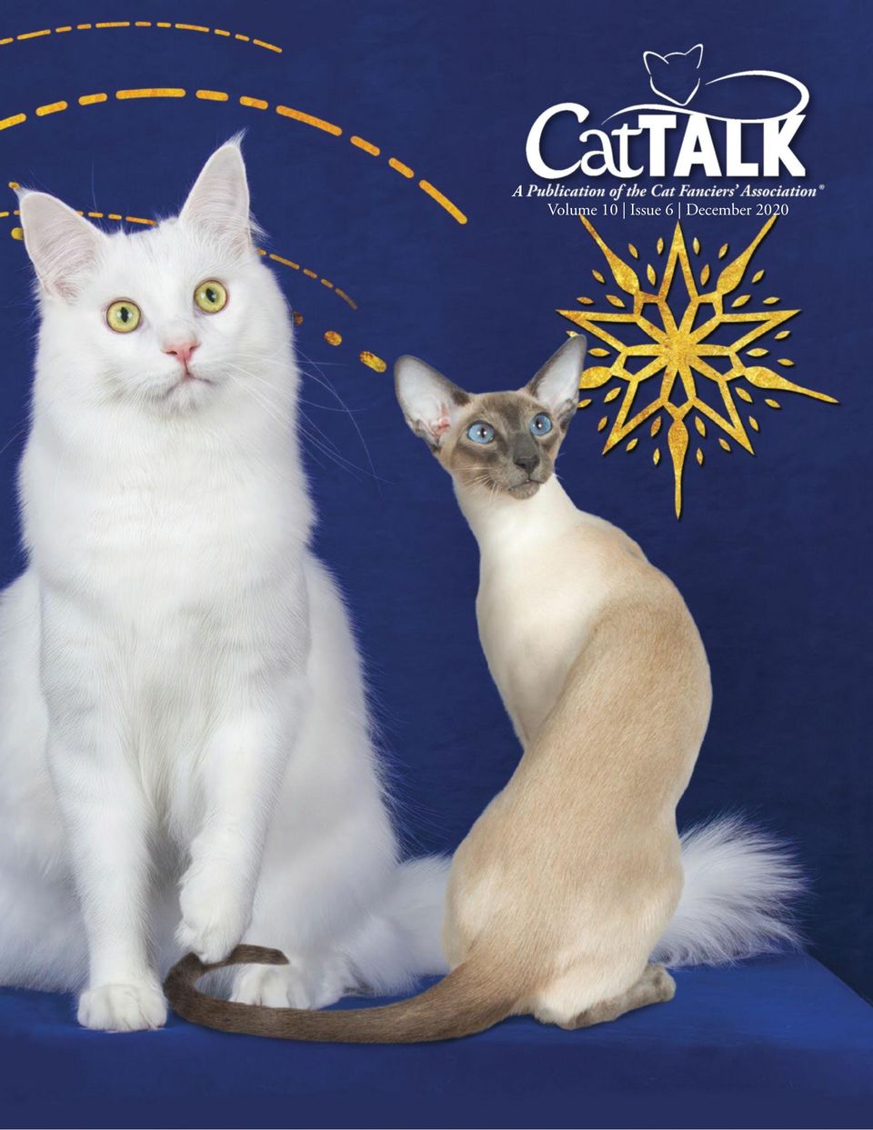 Get digital access to Cat Talk - December 2020 issue | Magzter.com