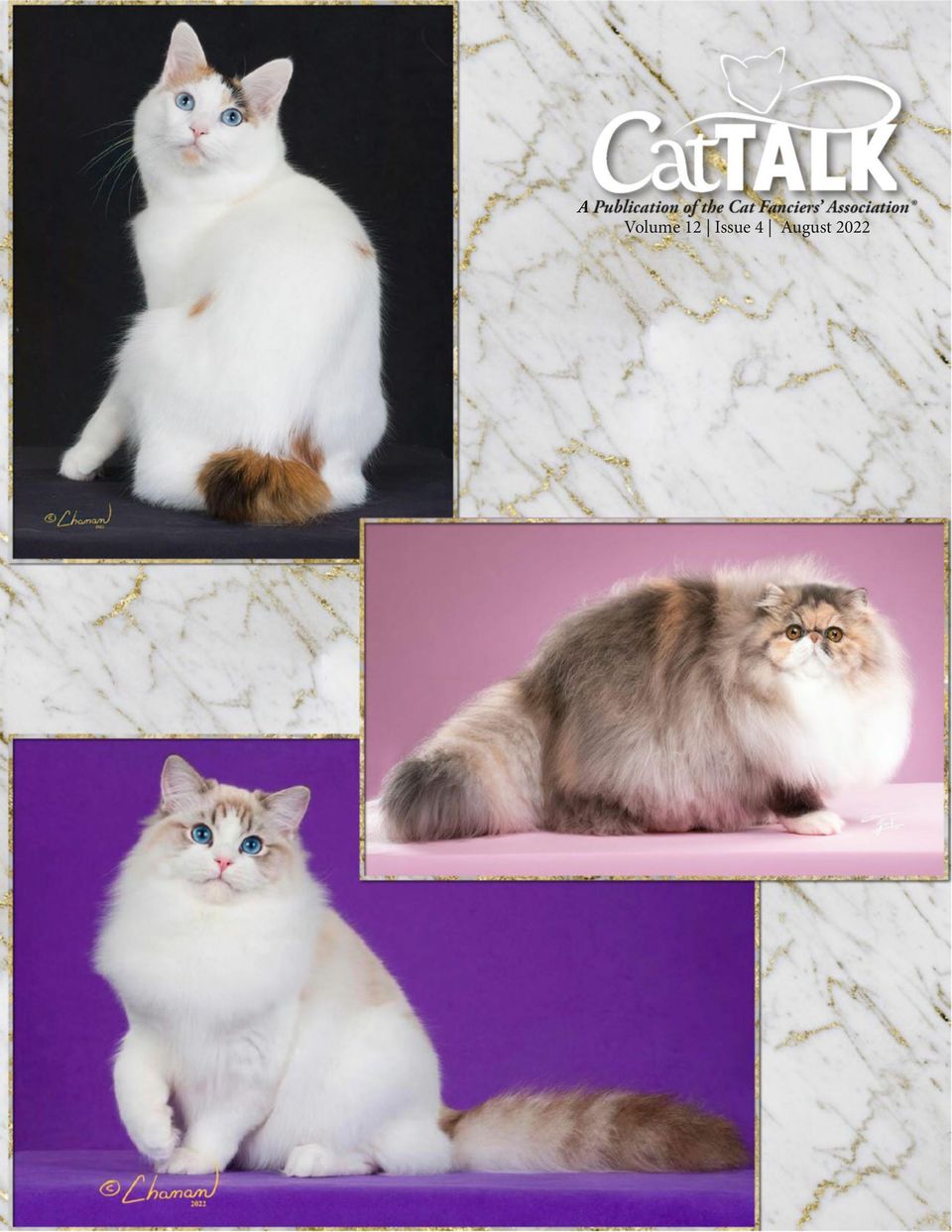 Cat Talk-August 2022 Magazine - Get your Digital Subscription