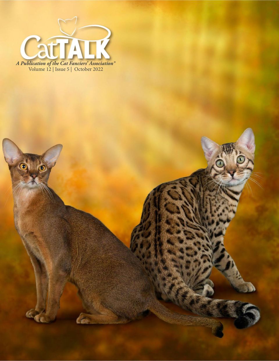 Cat Talk-October 2022 Magazine - Get your Digital Subscription