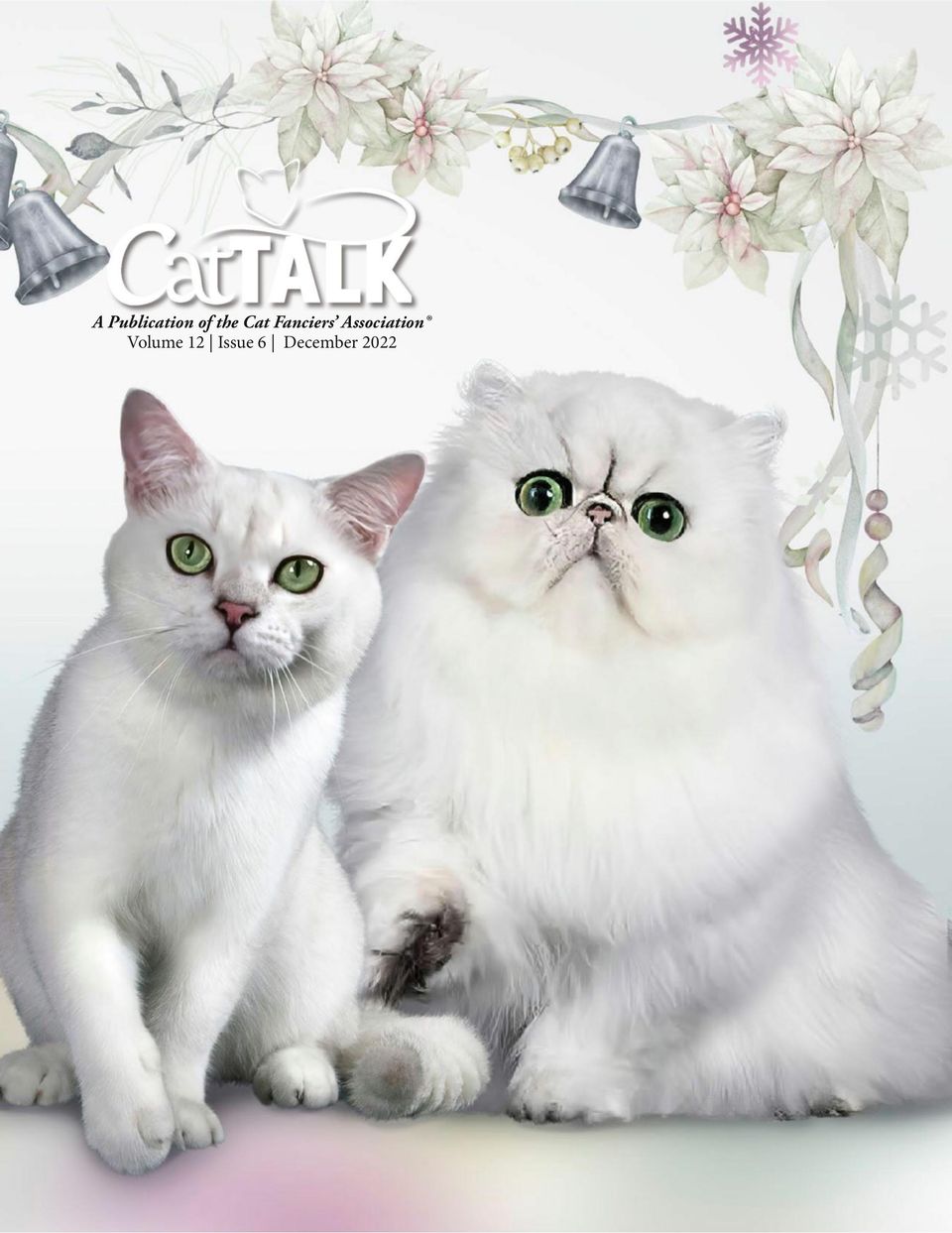 Cat Talk-December 2022 Magazine - Get your Digital Subscription