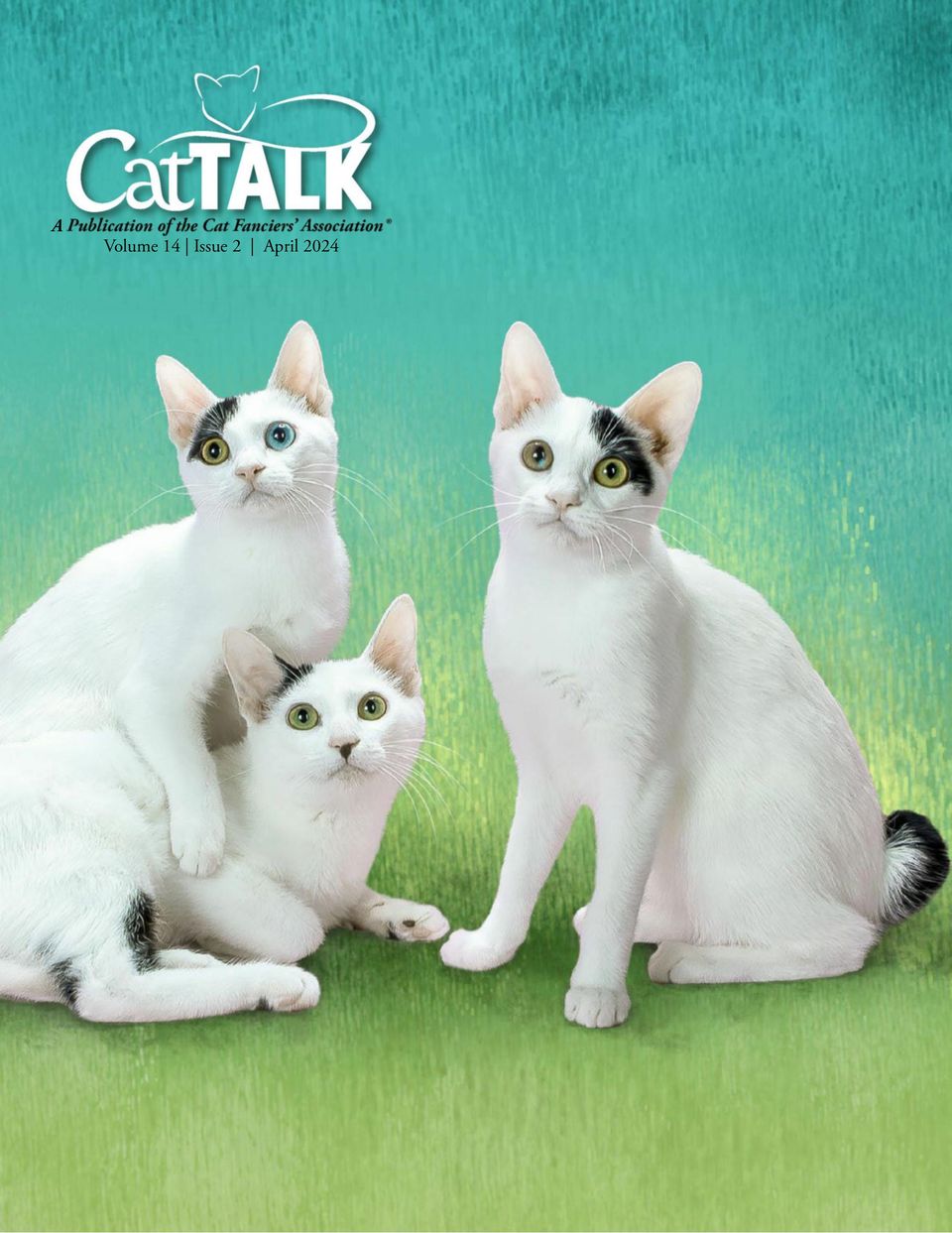 Cat Talk Magazine - Get your Digital Subscription