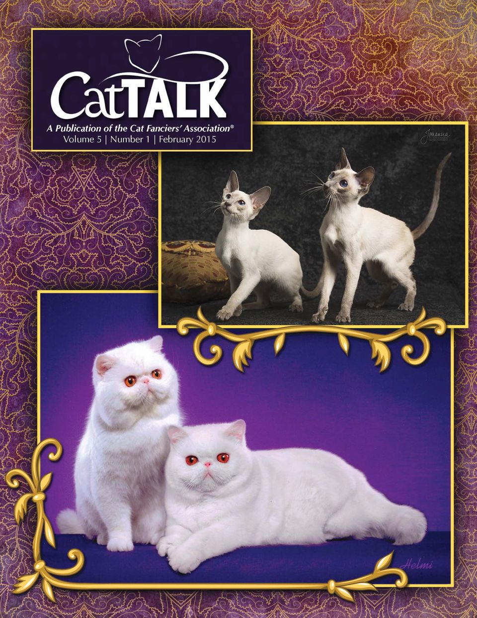 Cat Talk-February 2015 Magazine - Get your Digital Subscription