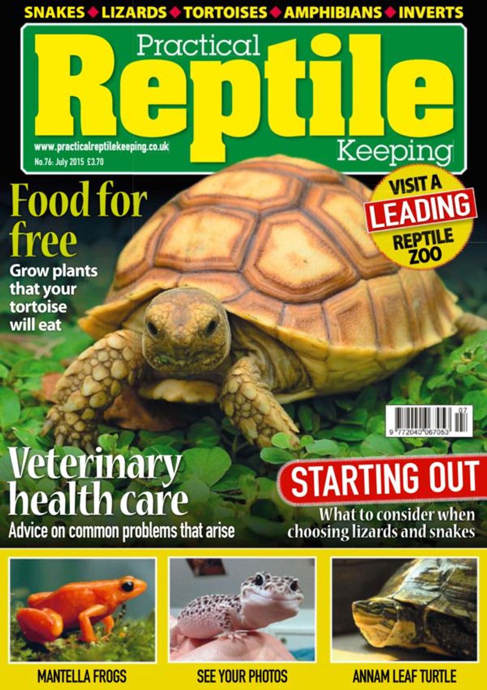 Practical Reptile Keeping-July 2015 Magazine - Get your Digital ...