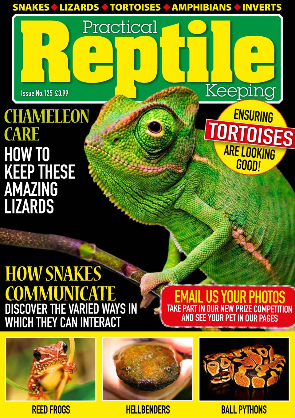 Practical Reptile Keeping-Issue 125 Magazine - Get your Digital ...