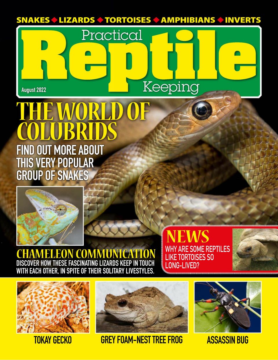Practical Reptile Keeping Magazine - Get your Digital Subscription