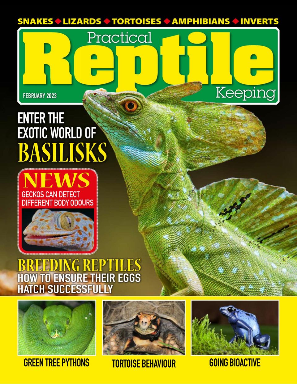 Get digital access to Practical Reptile Keeping - February 2023 issue ...