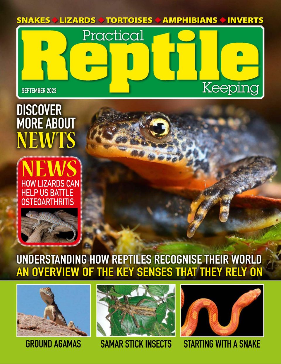 Practical Reptile Keeping Magazine - Get your Digital Subscription