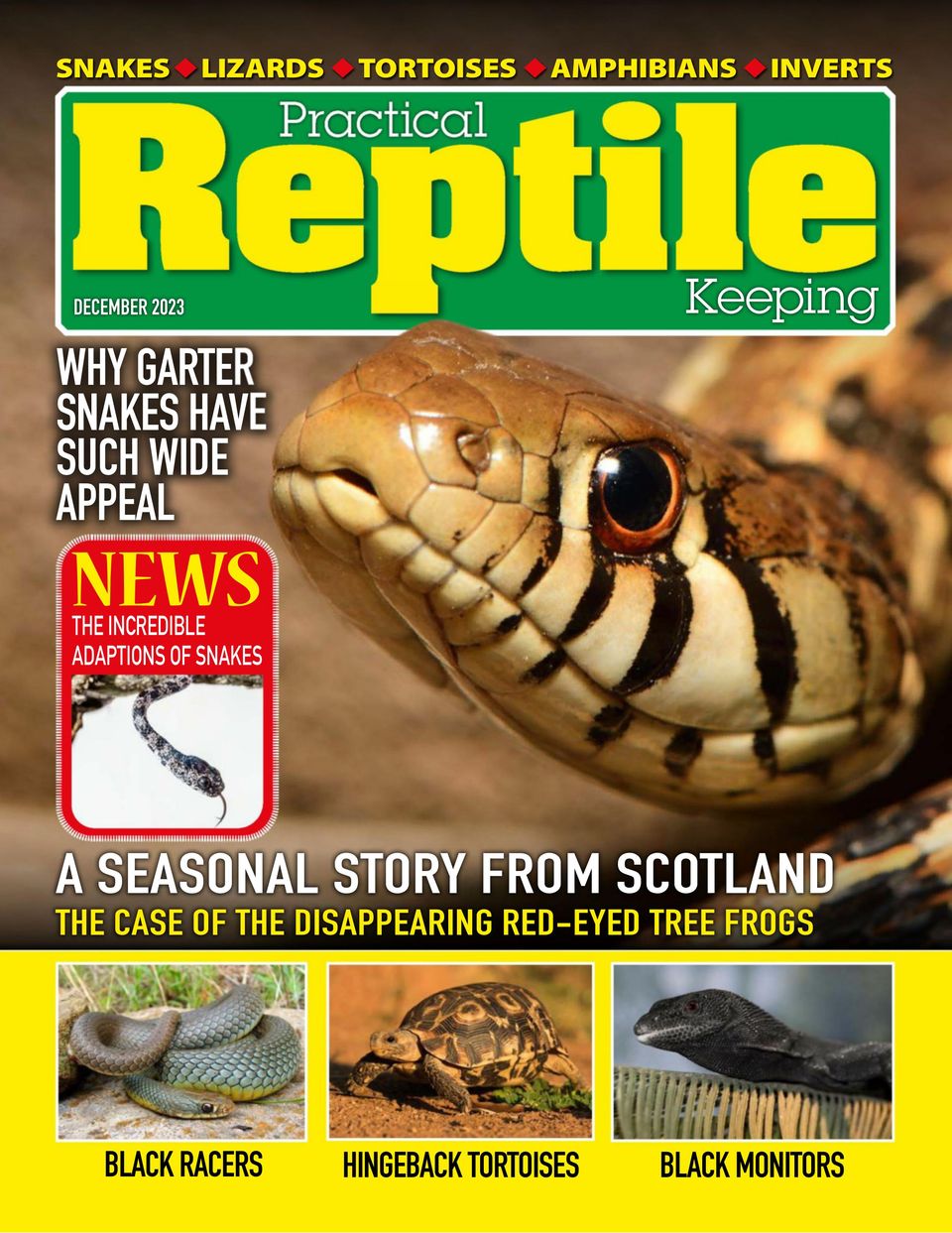 Practical Reptile Keeping Magazine - Get your Digital Subscription