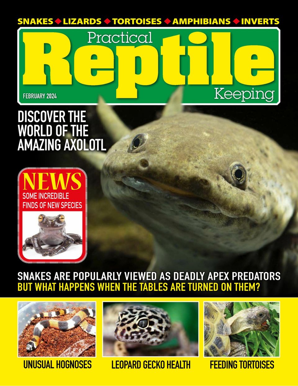 Practical Reptile Keeping Magazine - Get your Digital Subscription