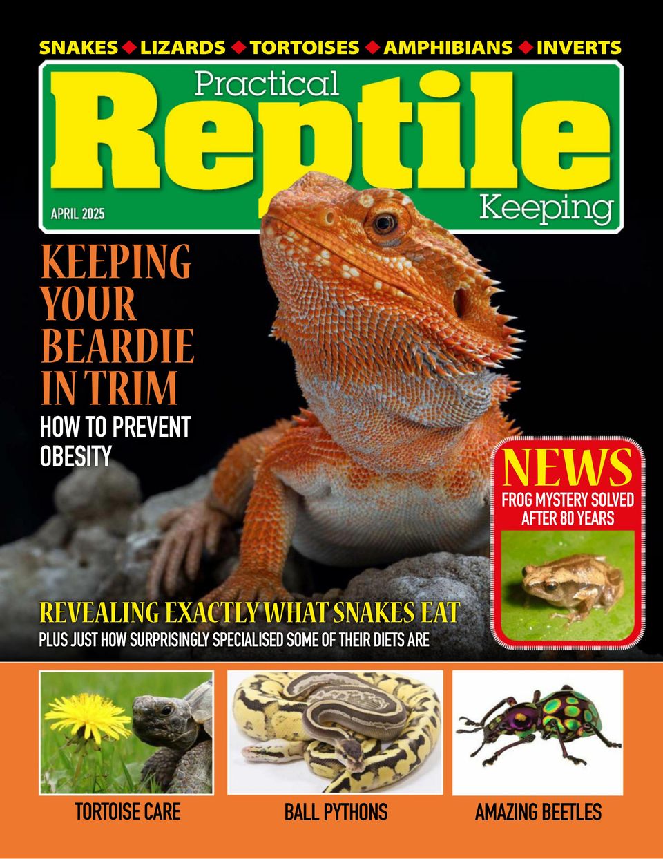 Get digital access to Practical Reptile Keeping Magazine | Magzter.com