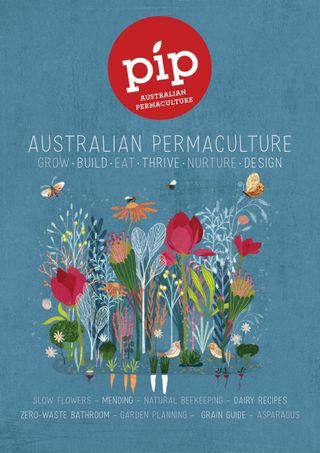 Pip Magazine - Get your Digital Subscription