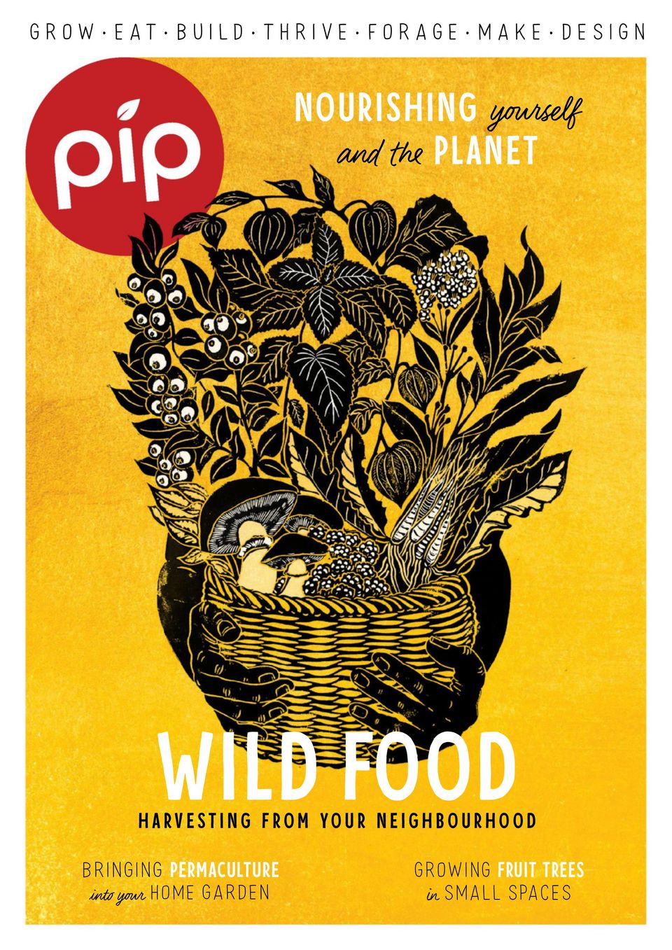 Pip Magazine Magazine - Get your Digital Subscription