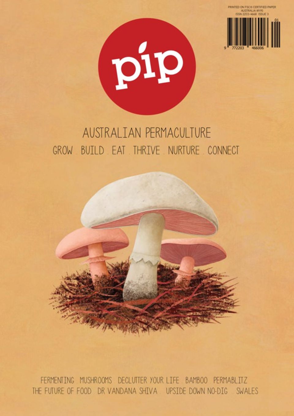 Pip Magazine-Issue 3 Magazine - Get your Digital Subscription