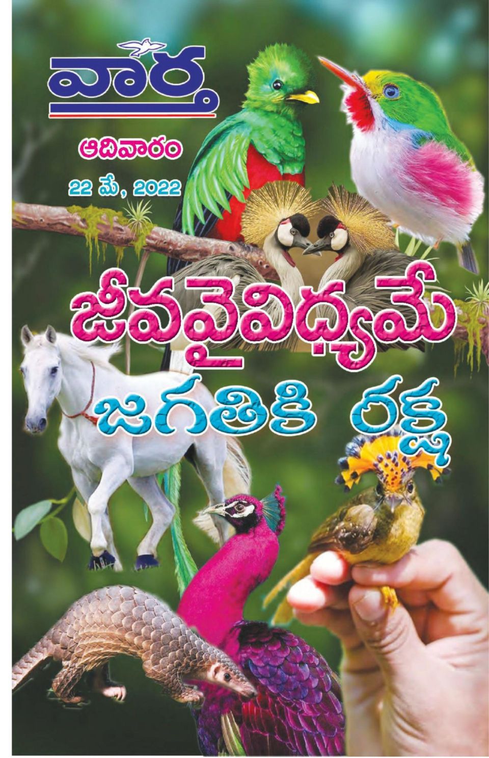 Vaartha-Sunday Magazine-May 22, 2022 Newspaper
