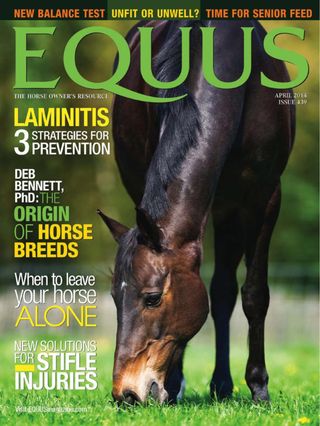 Equus Magazine April 2014 issue – Get your digital copy