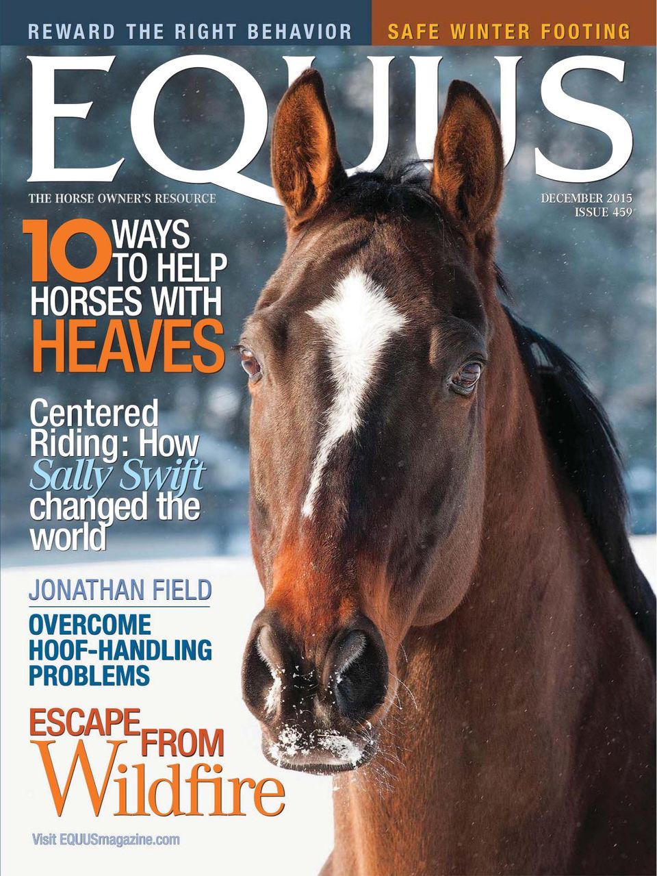Get digital access to Equus - December 2015 issue | Magzter.com