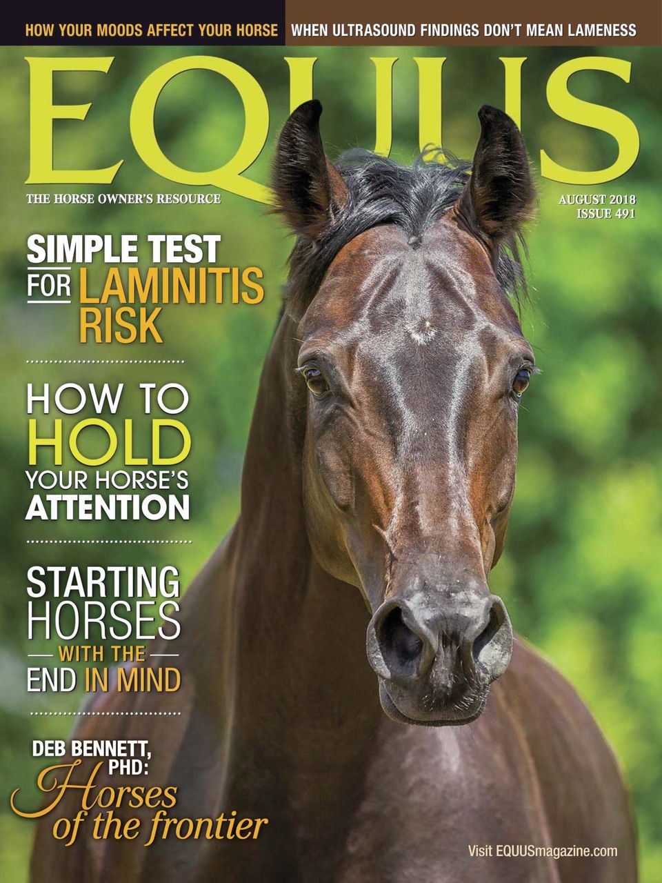 Get digital access to Equus - August 2018 issue | Magzter.com