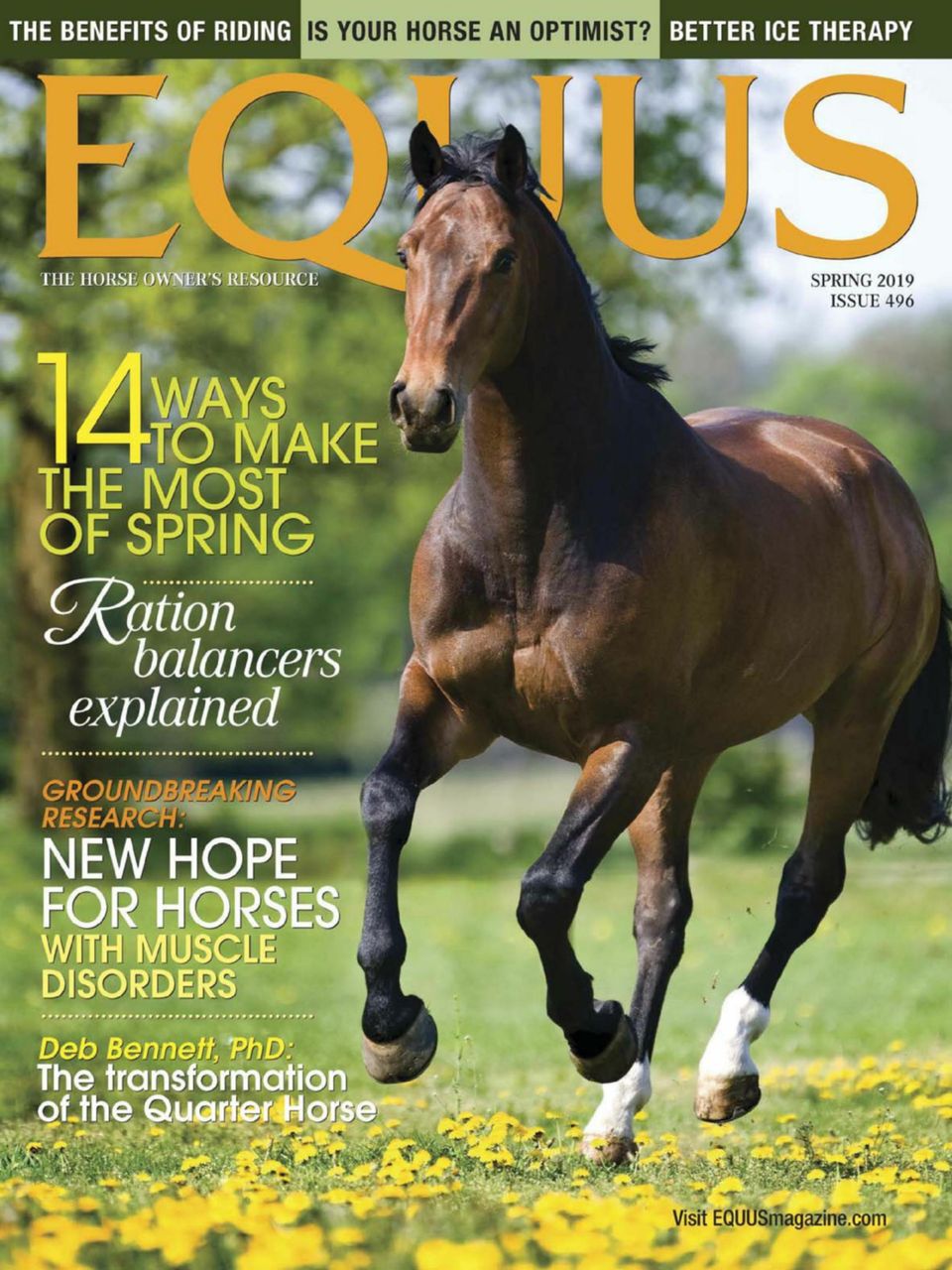 Get digital access to Equus - Spring 2019 issue | Magzter.com