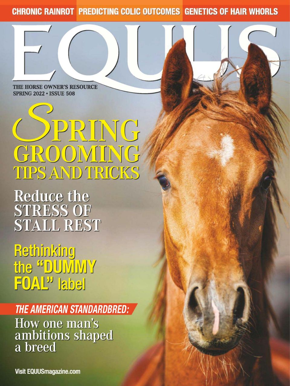 Equus Magazine - Get your Digital Subscription