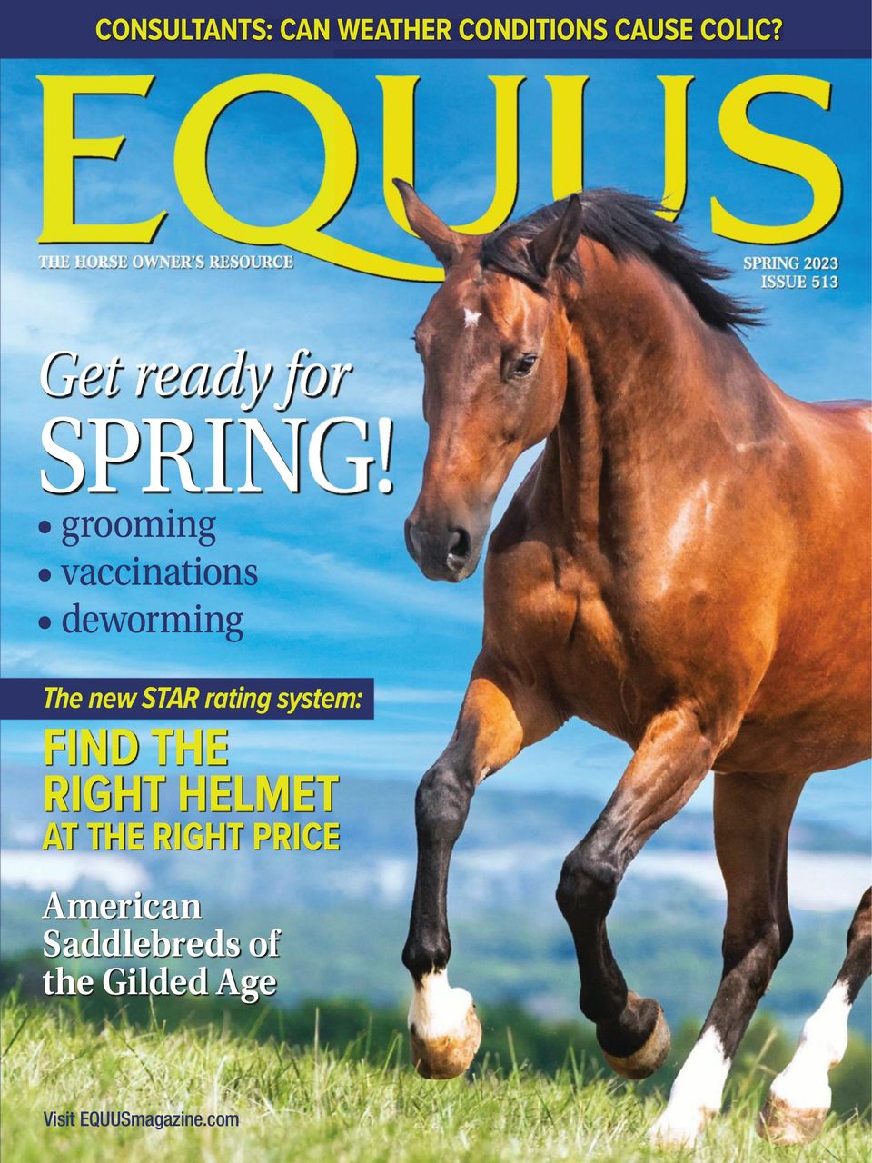 Get digital access to Equus - Spring 2023 issue | Magzter.com