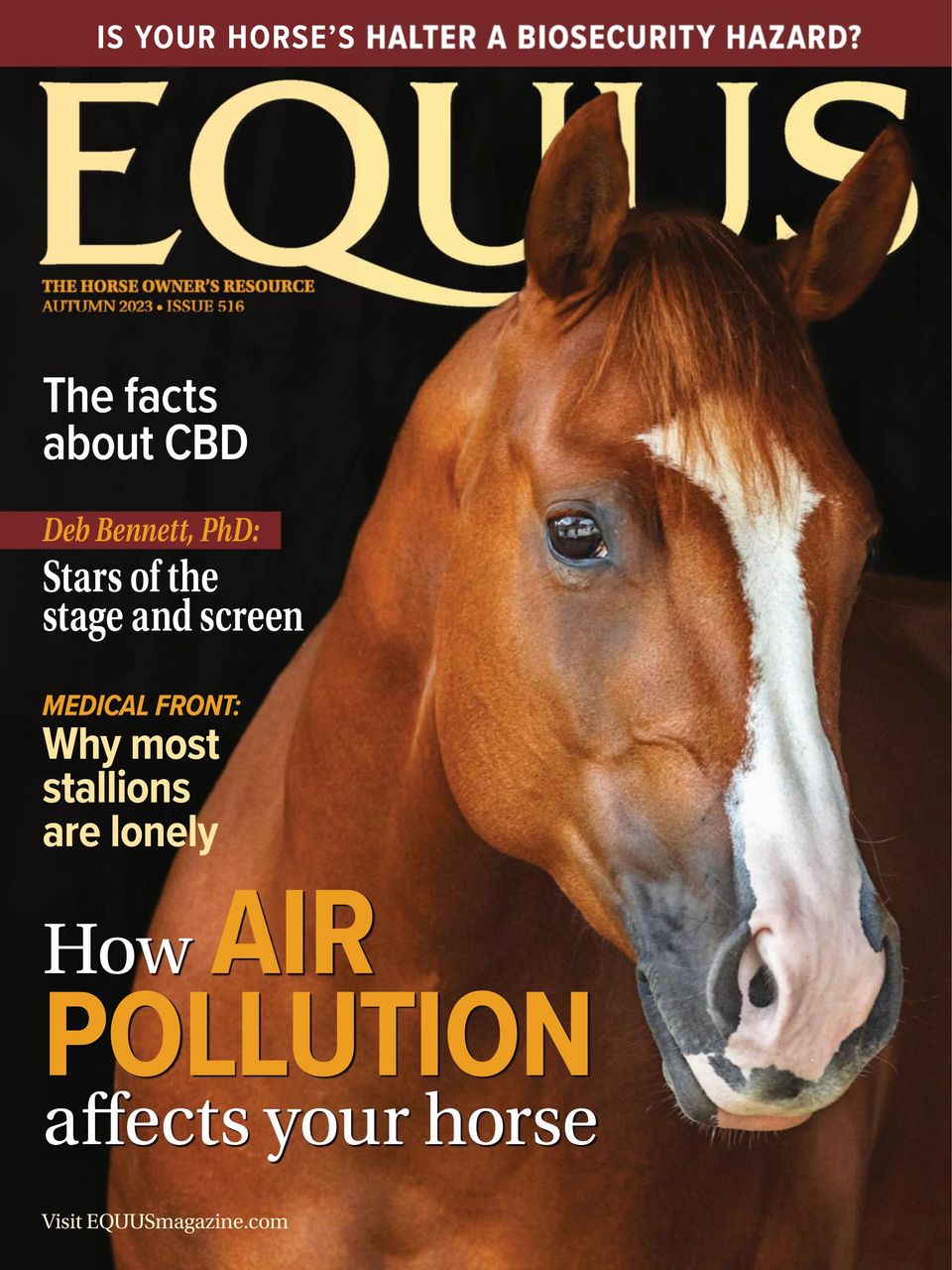 Iron Horse Magazine