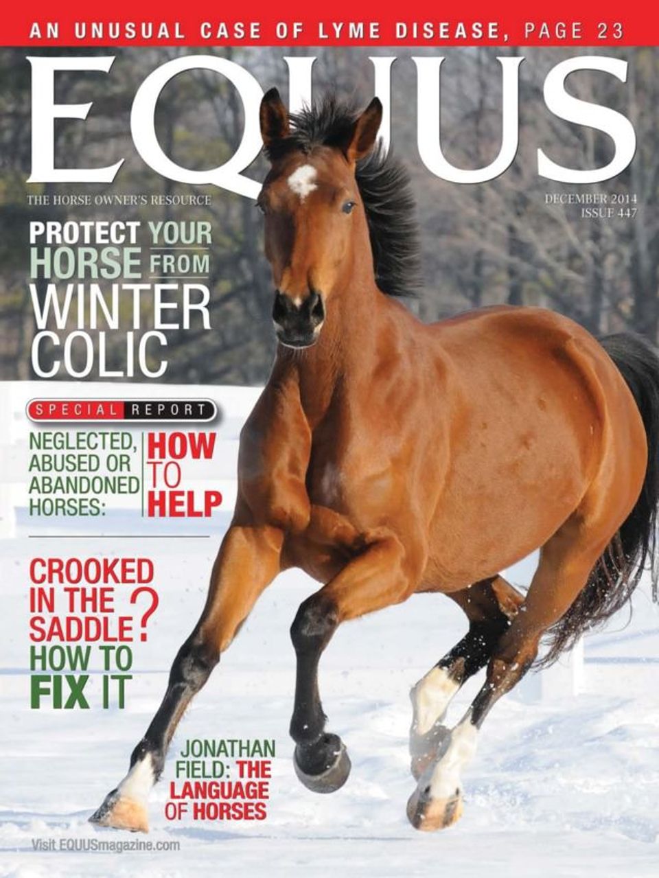 Get digital access to Equus - December 2014 issue | Magzter.com
