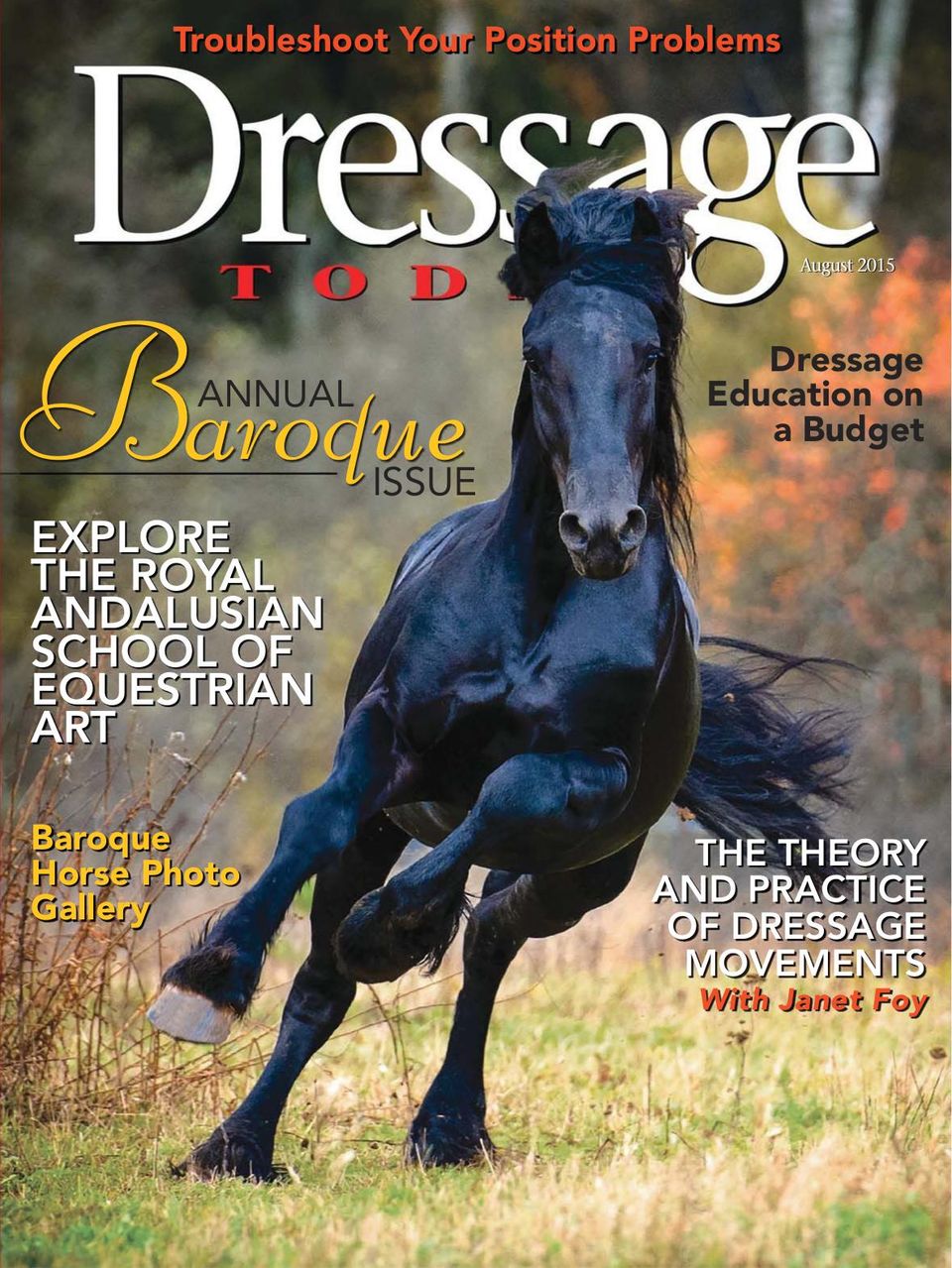 Get digital access to Dressage Today - August 2015 issue | Magzter.com