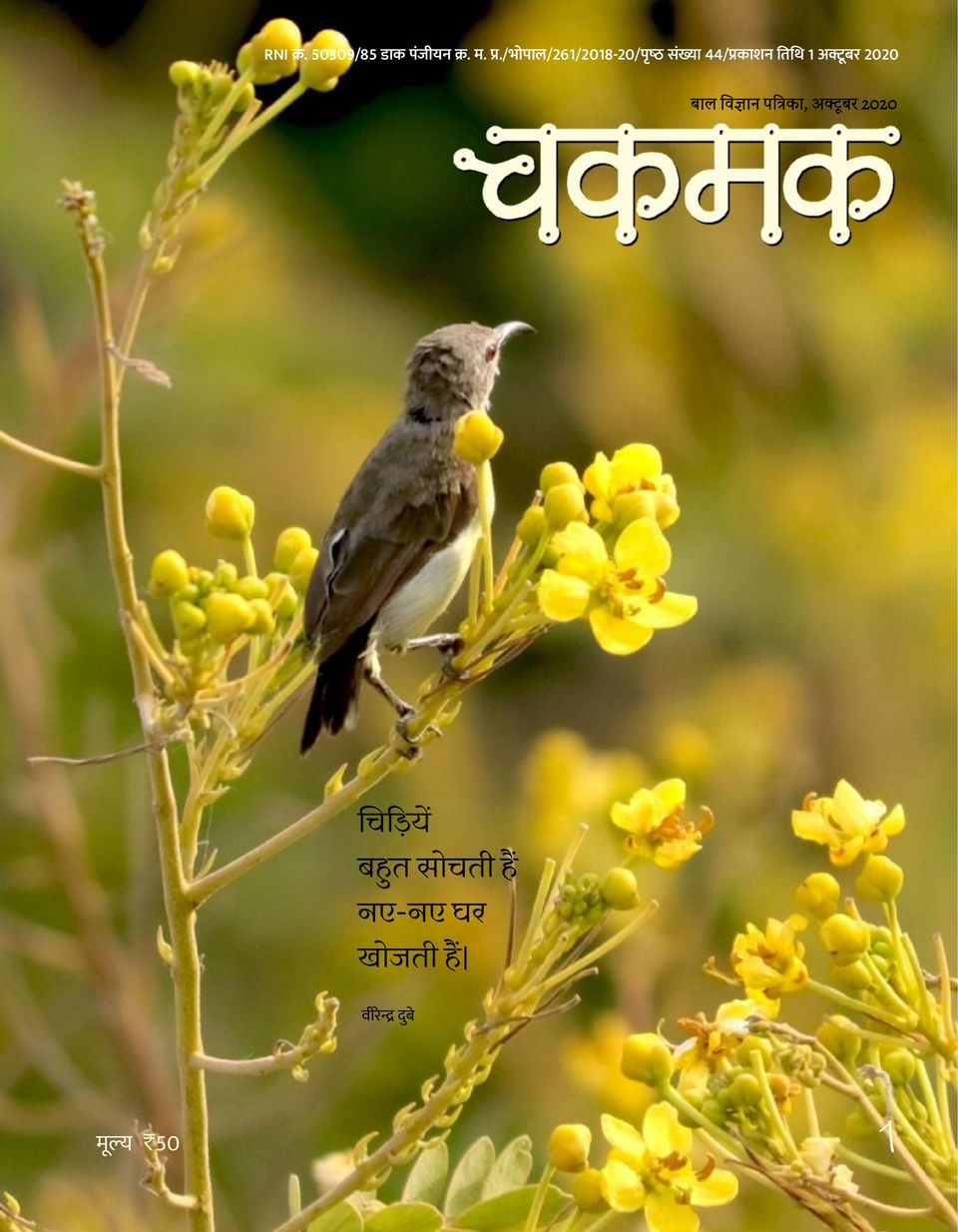 Chakmak-October 2020 Magazine - Get your Digital Subscription