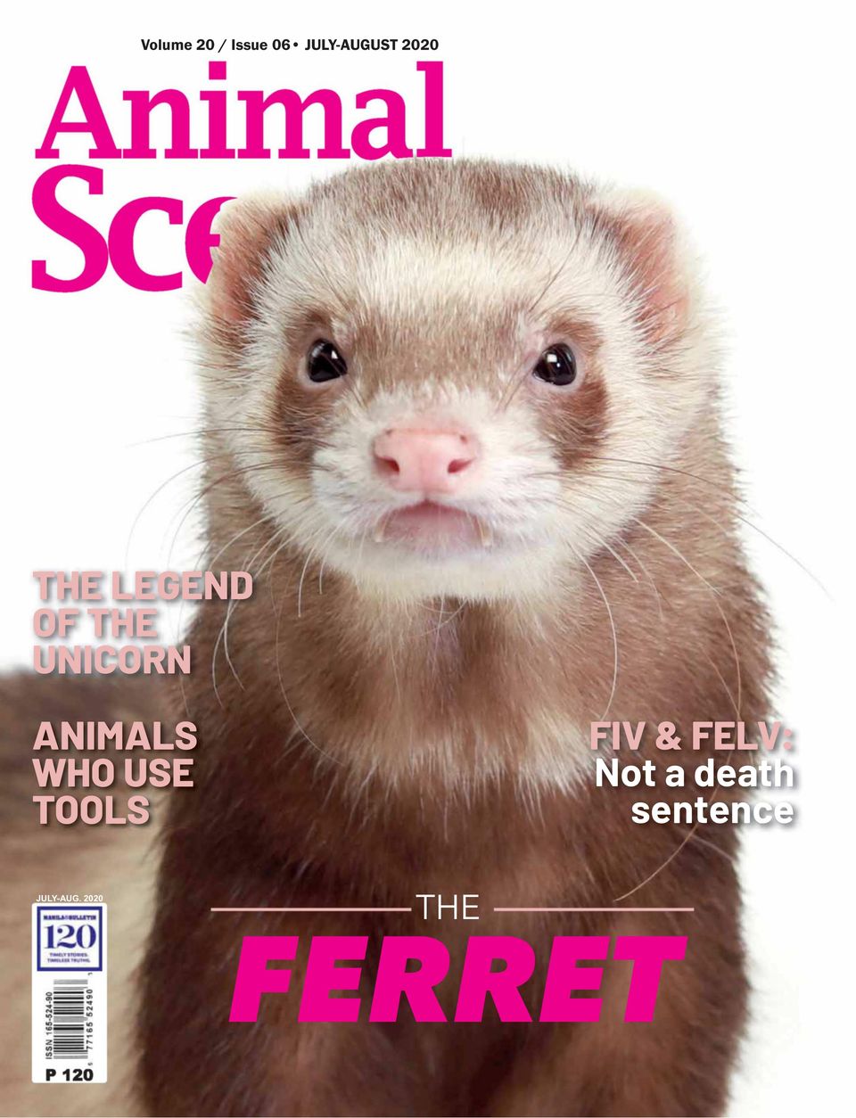 Get digital access to Animal Scene - July - August 2020 issue | Magzter.com