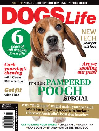 Dogs Life Magazine November - December 2014 issue – Get your digital copy
