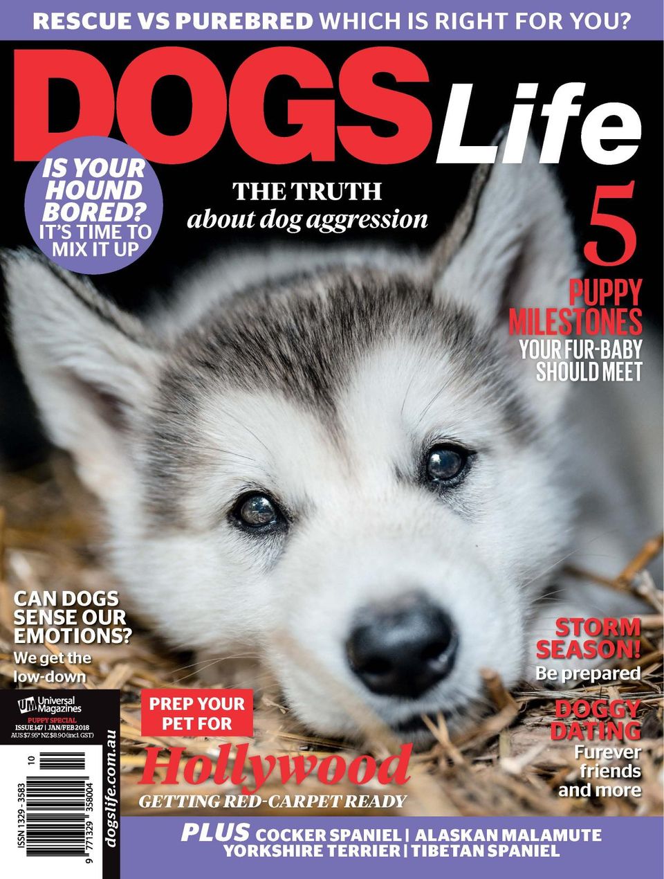 Get digital access to Dogs Life - January/February 2018 issue | Magzter.com