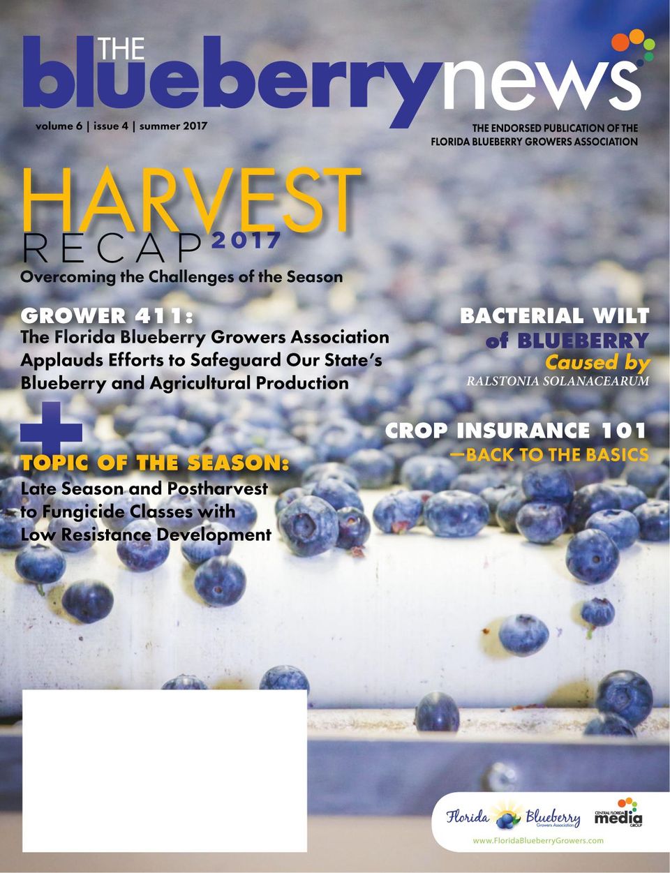 Get digital access to The Blueberry News - Summer 2017 issue | Magzter.com
