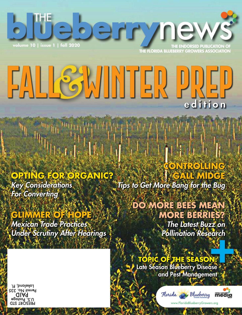 Get digital access to The Blueberry News - Fall 2020 issue | Magzter.com