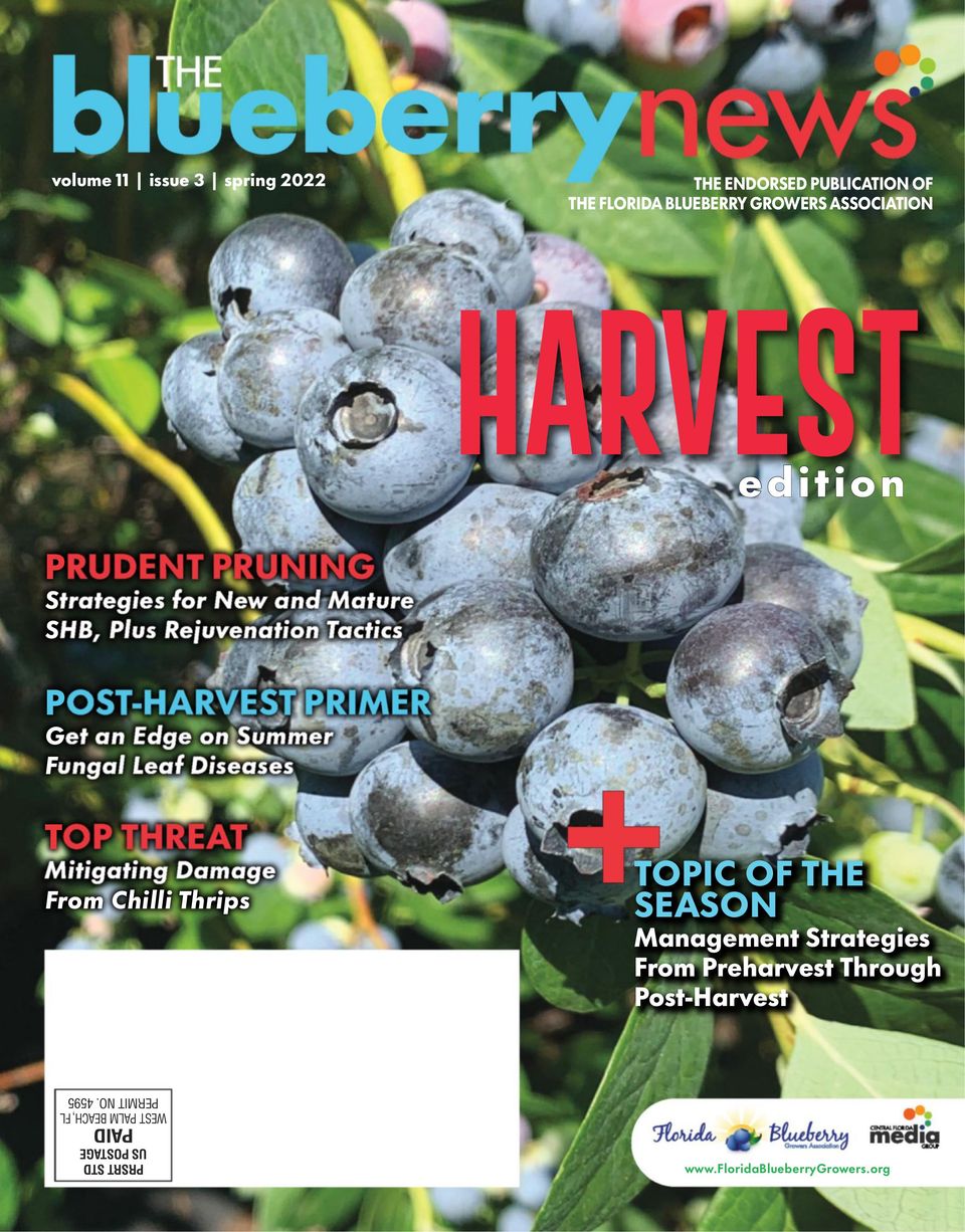 The Blueberry News Magazine - Get your Digital Subscription