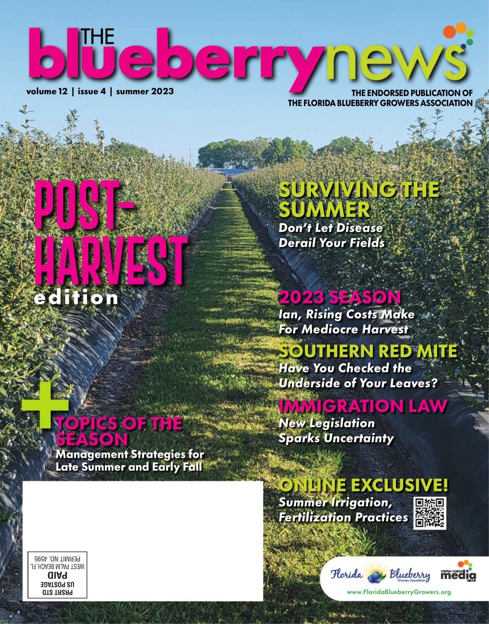 The Blueberry News Magazine - Get your Digital Subscription