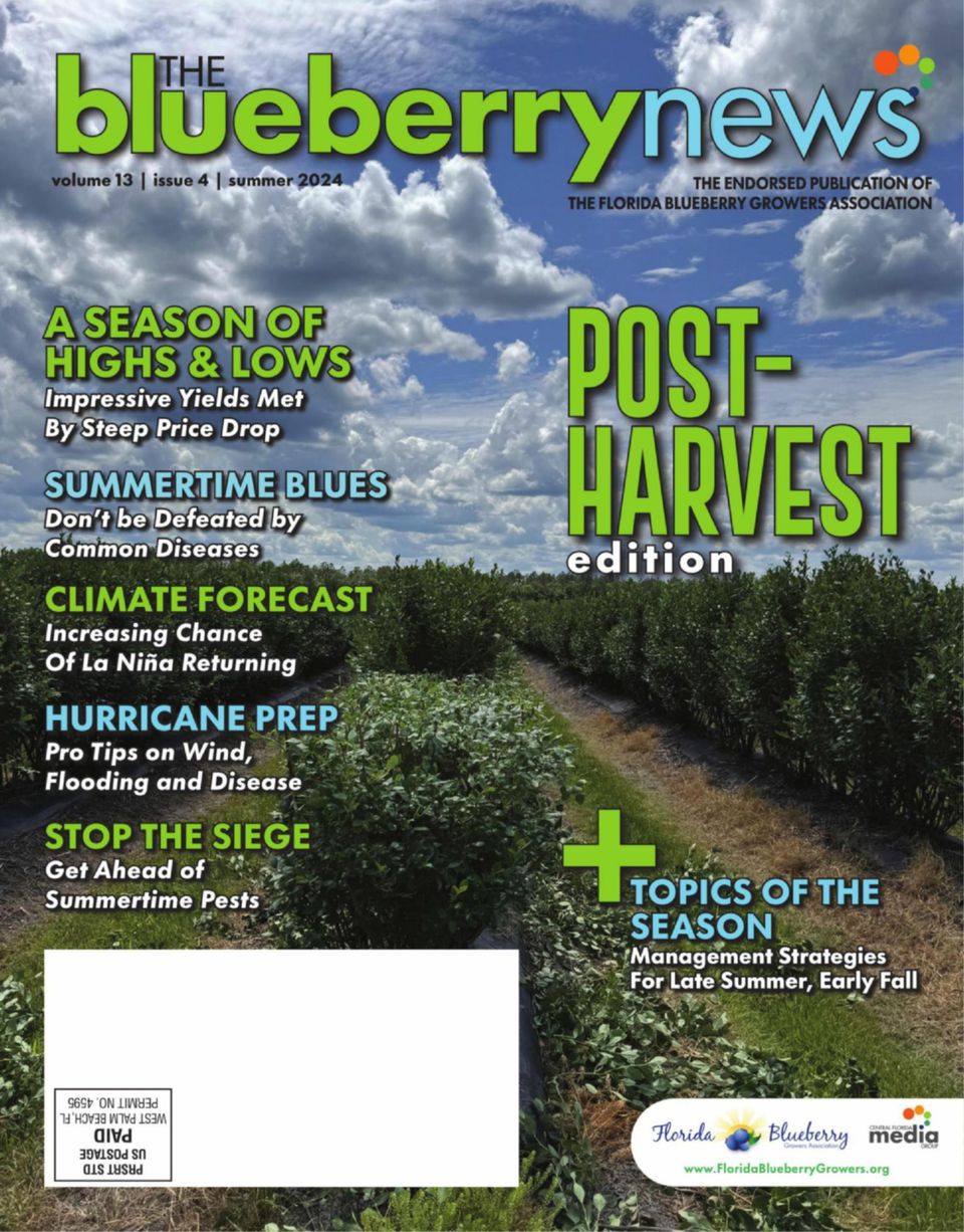 The Blueberry News Magazine - Get your Digital Subscription