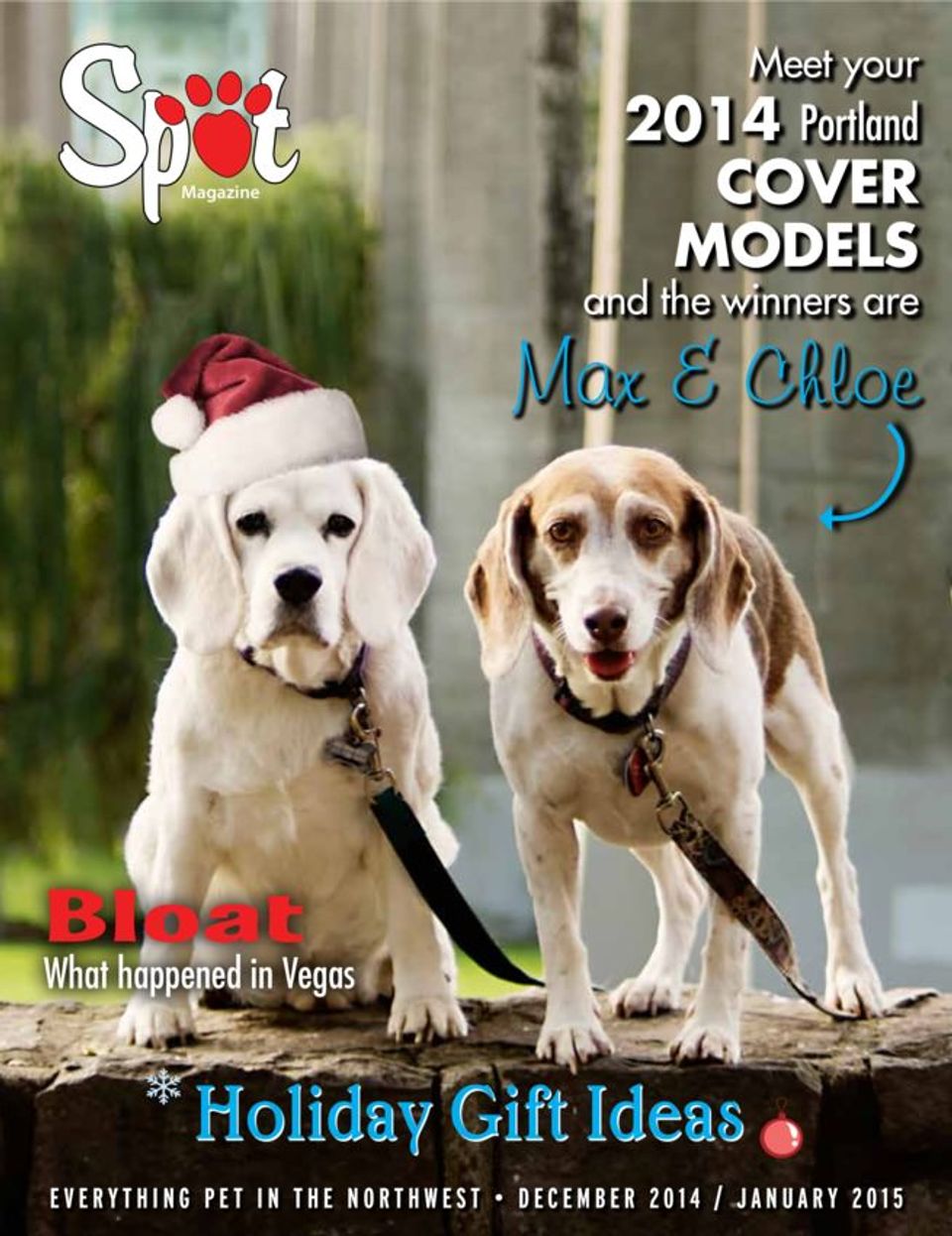 Spot Magazine - Get your Digital Subscription