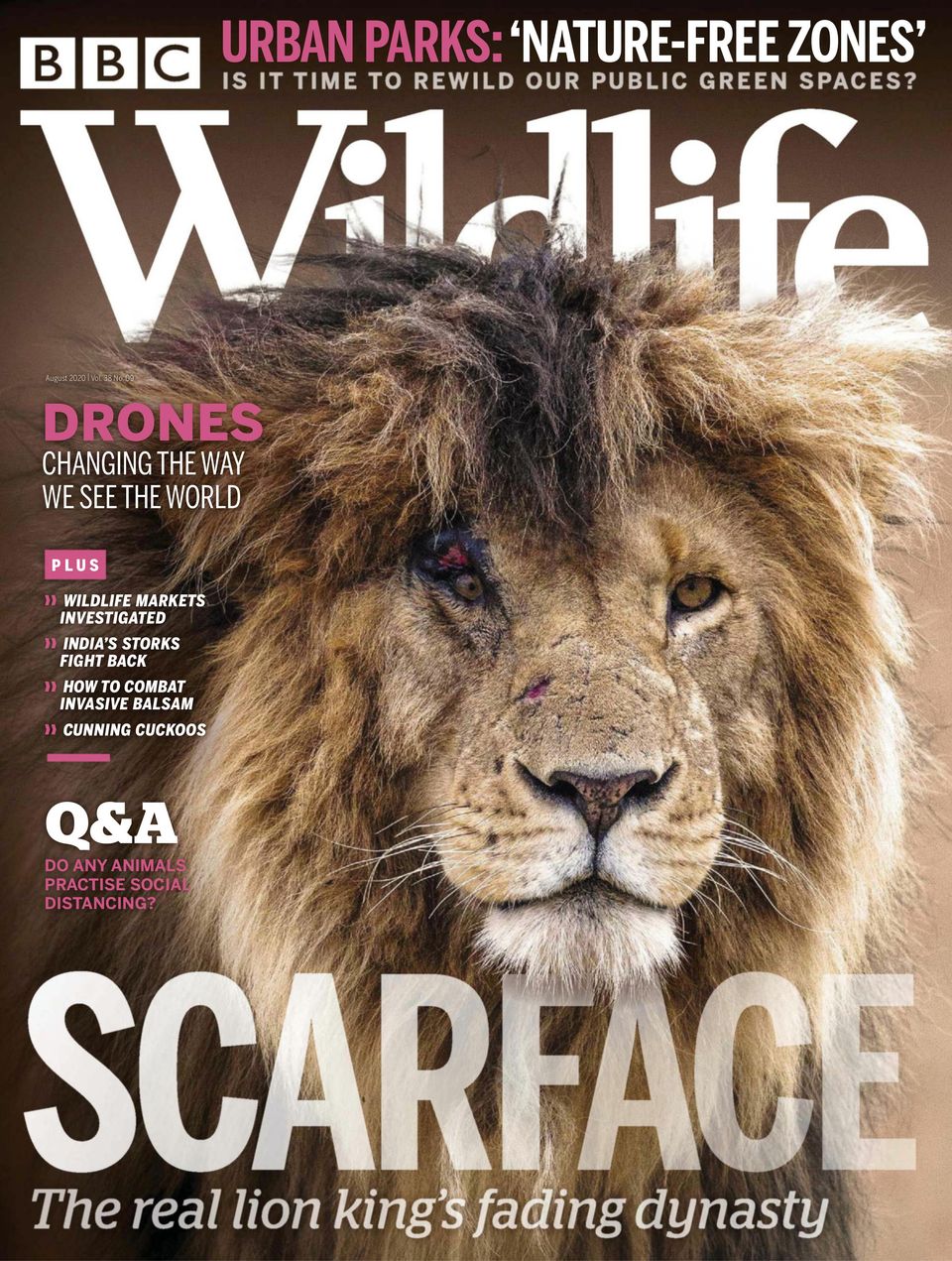 Get digital access to BBC Wildlife - August 2020 issue | Magzter.com