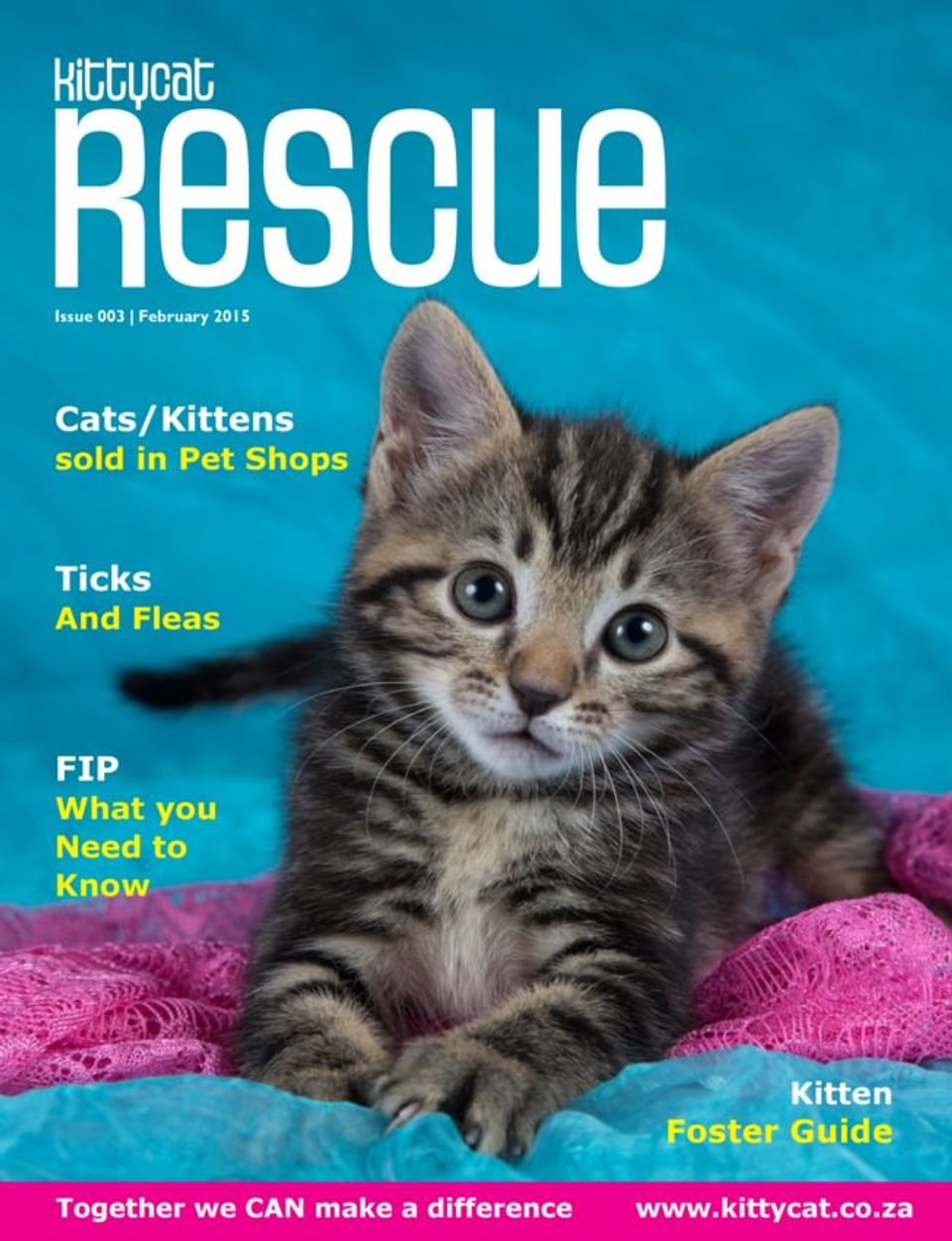 Get digital access to Kittycat Rescue Magazine | Magzter.com