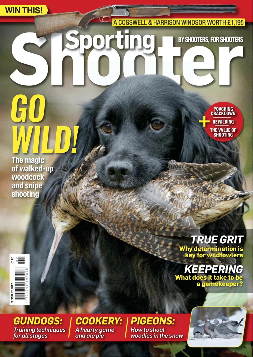 Get digital access to Sporting Shooter - February 2017 issue | Magzter.com