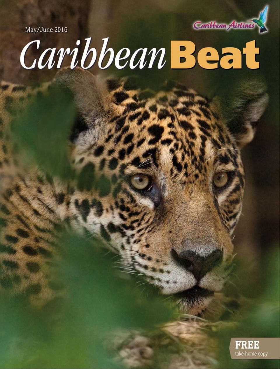 Get digital access to Caribbean Beat - May/June 2016 Issue 139 issue ...