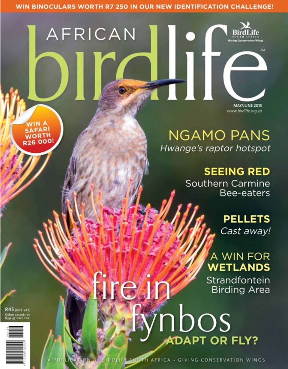 African Birdlife-May - June 2015 Magazine - Get your Digital Subscription