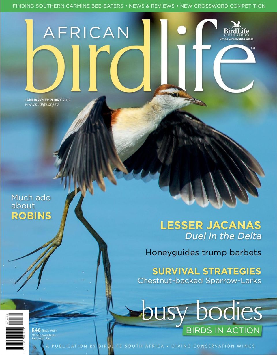 African Birdlife-January - February 2017 Magazine