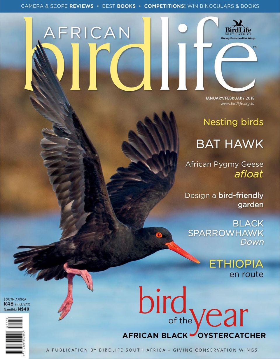 Get digital access to African Birdlife - January/February 2018 issue | Magzter.com