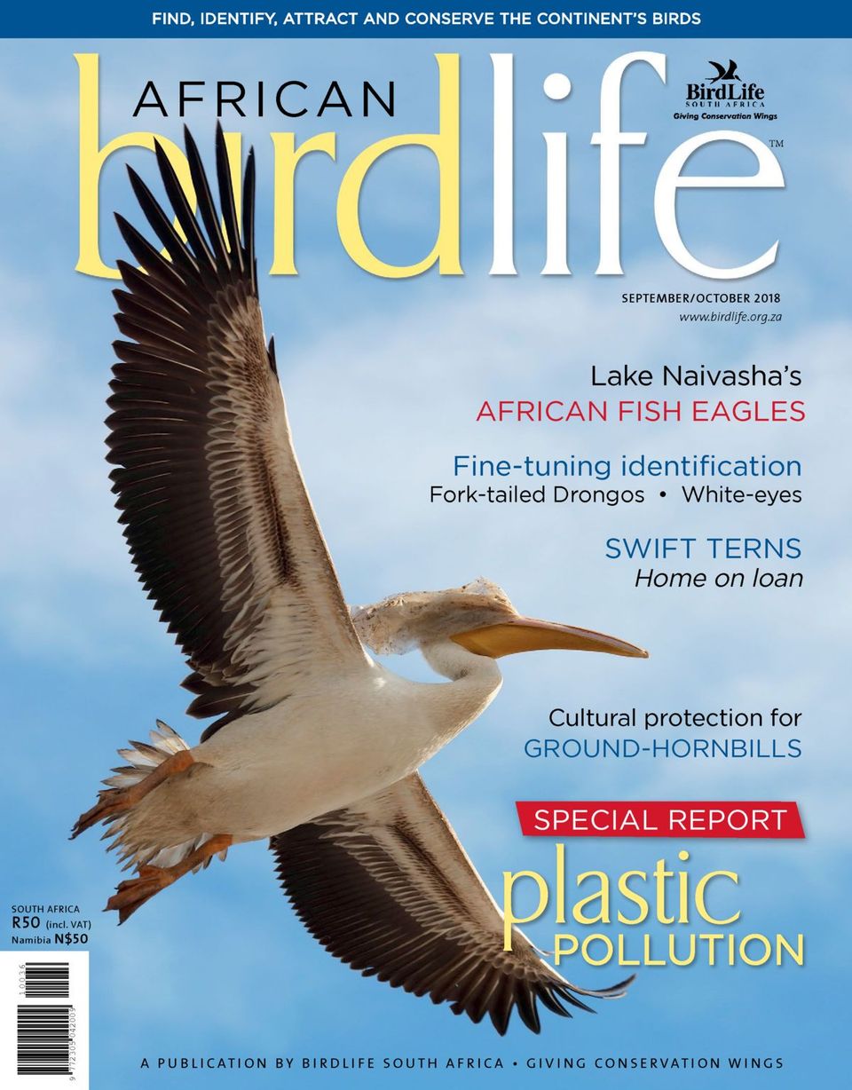 African Birdlife-September/October 2018 Magazine