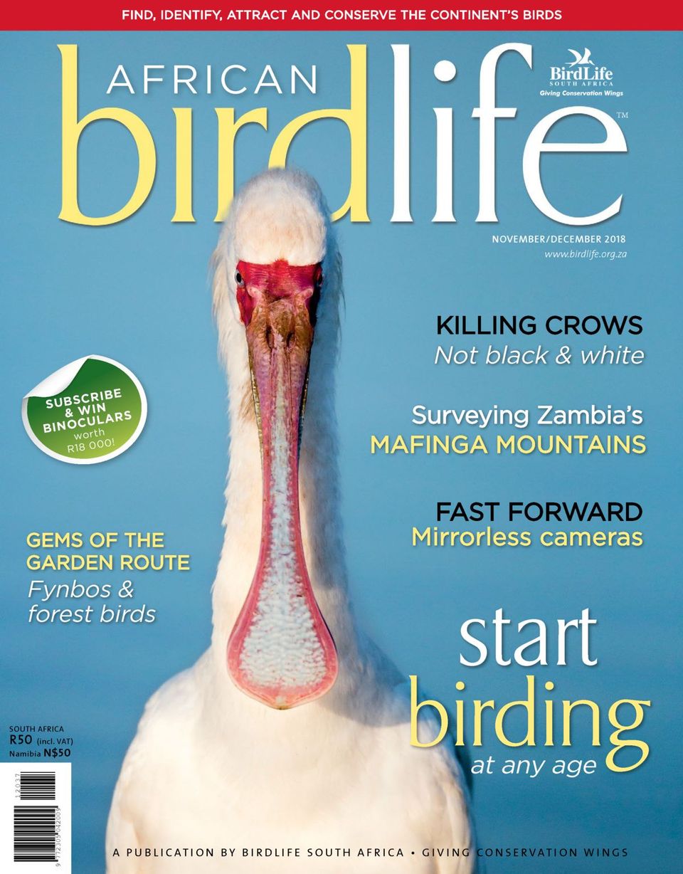 African Birdlife-November/December 2018 Magazine