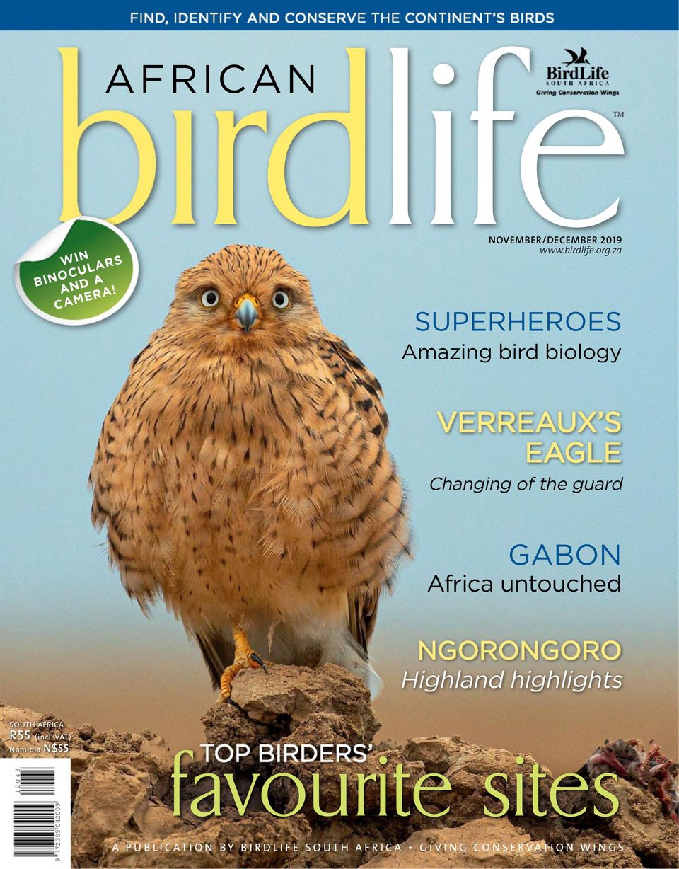 Get digital access to African Birdlife - November 2019 issue | Magzter.com