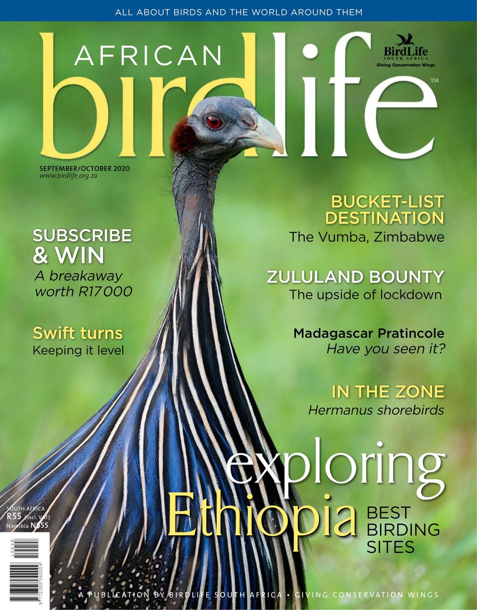 Get digital access to African Birdlife - September - October 2020 issue ...